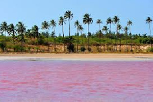 Dakar / Lac Rose / St Louis